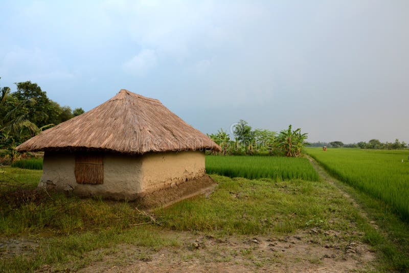 Indian Hut stock photo. Image of westbengal, green, farming - 61025938