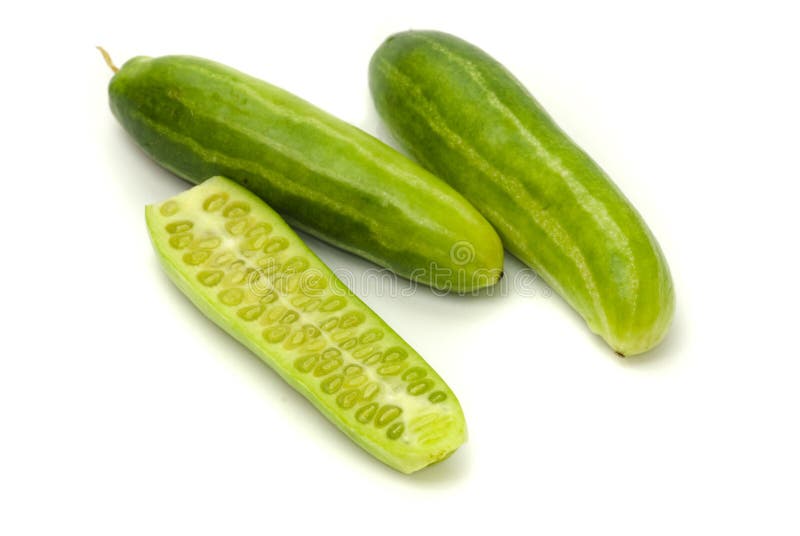 Indian Ivy Gourd - Also Known As Tendli Stock Image - Image of closeup ...