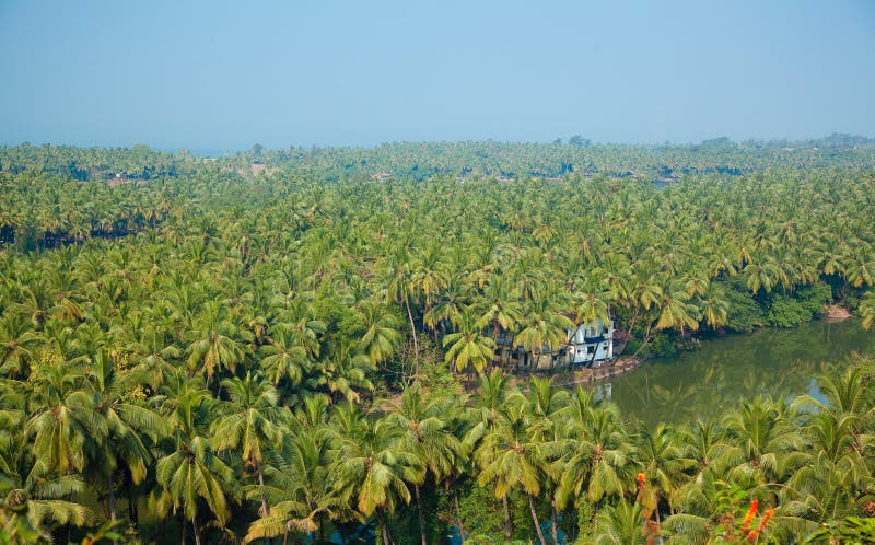 Indian jungle stock image. Image of aerial, lush, river - 13041979