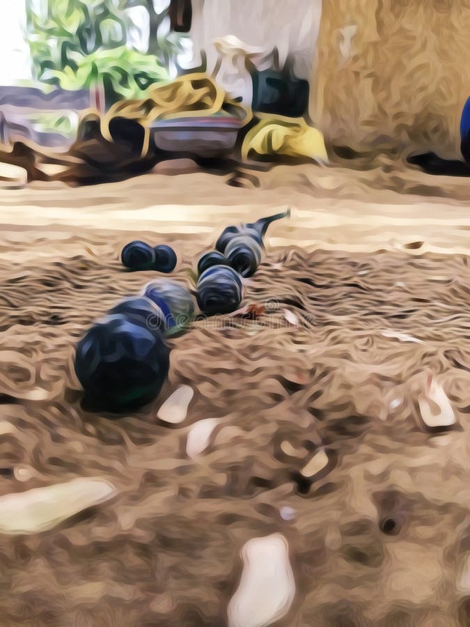 Indian Kanchche Stock Illustrations – 1 Indian Kanchche Stock ...