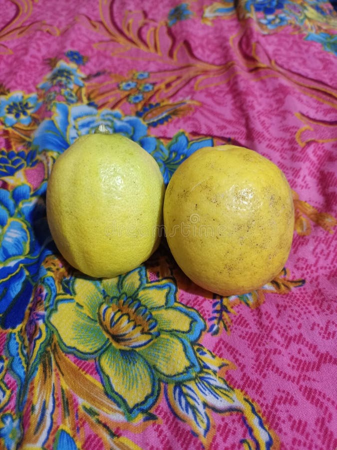 Indian large lemon fruit stock image. Image of dessert - 210442059