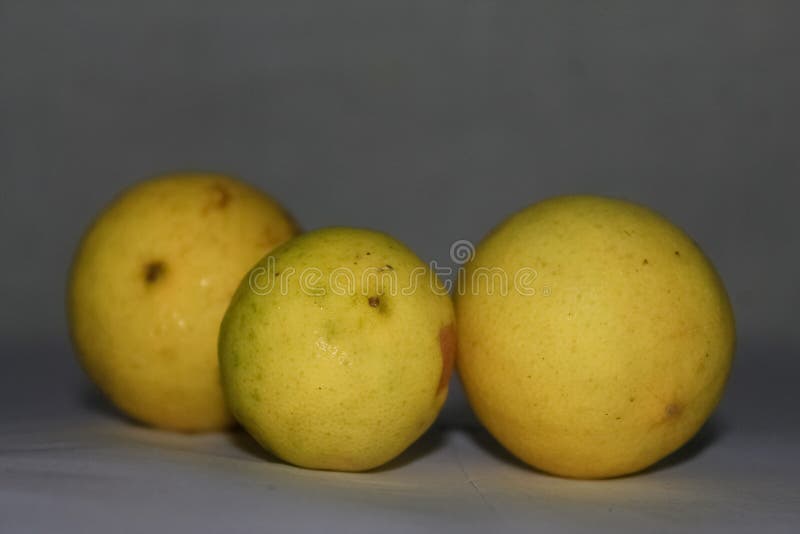 Indian Lemon. Tasty and Sweet Stock Image - Image of lemon, yellow ...