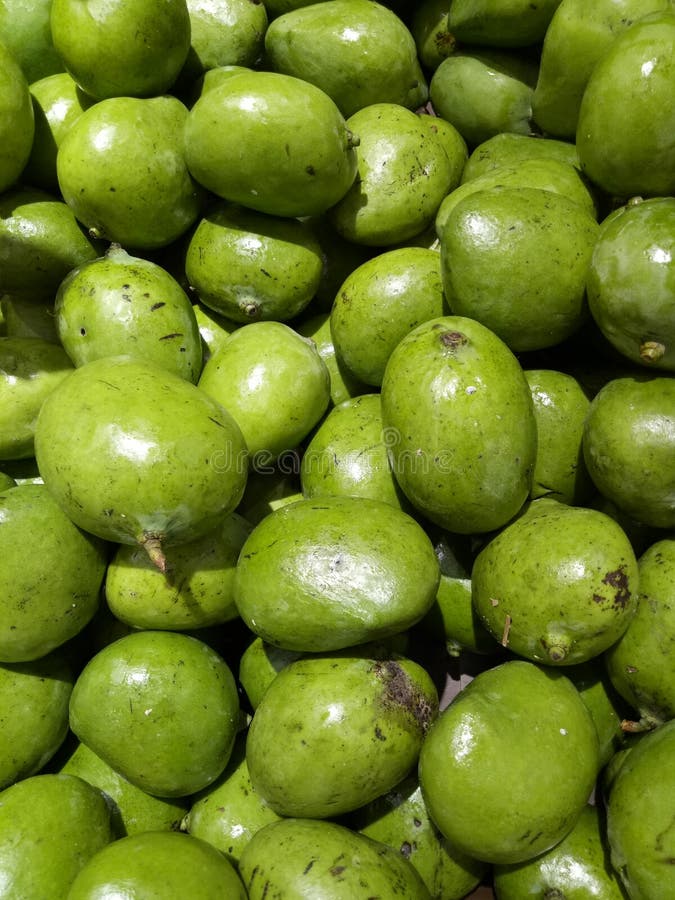 Indian Mango stock image. Image of indian, mango, bunch - 85006849