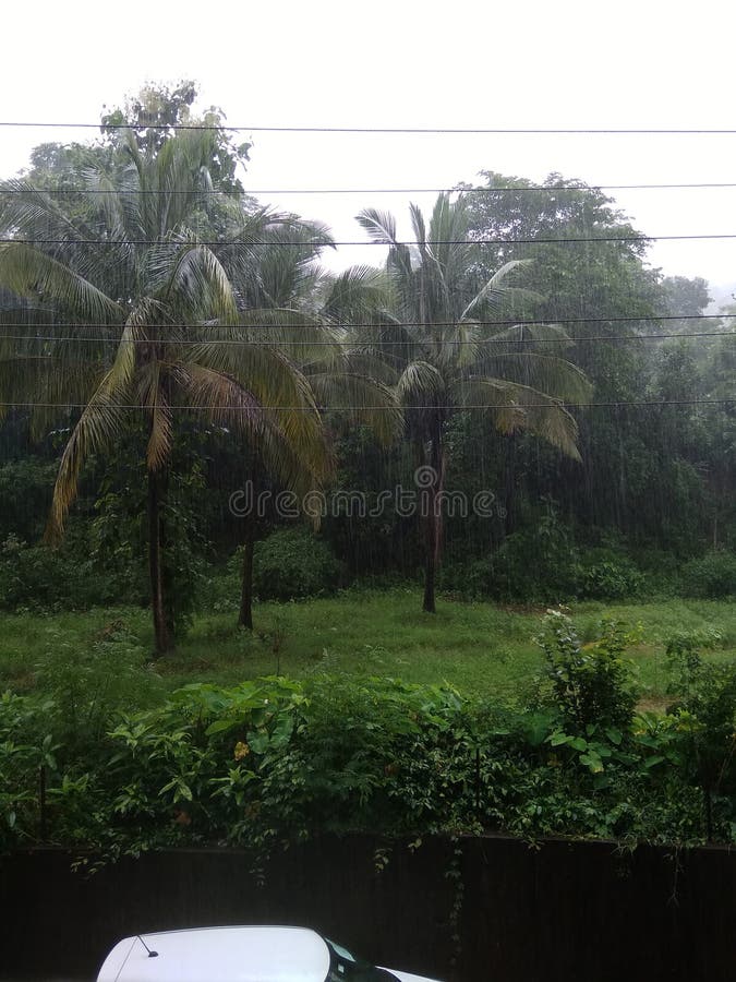 Indian Monsoon Greenery Everywhere Raining Outside Stock Image - Image ...