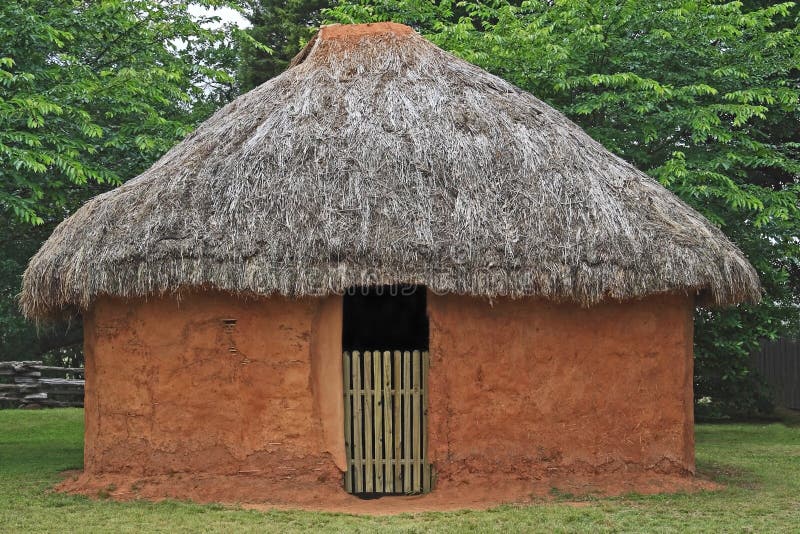 Indian Village Farmer Take Foods For Him Cows A Fodder Farming, This Is ...