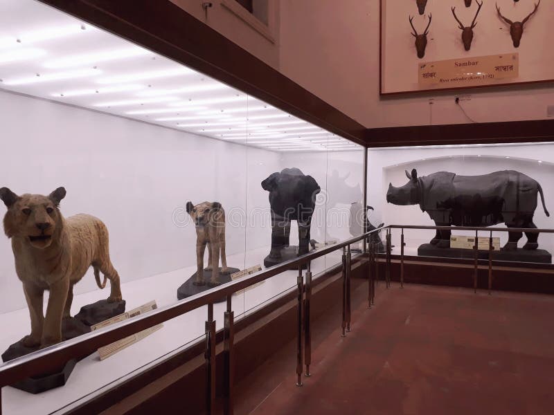 Indian Museum in Kolkata editorial photography. Image of bengal - 192145252