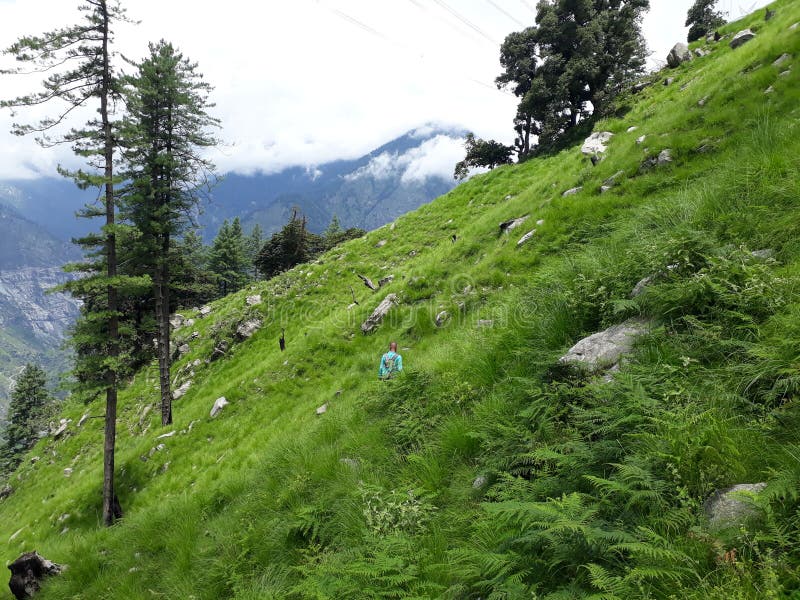 Indian Natural Beautiful Screen Pictures Editorial Image - Image of ...