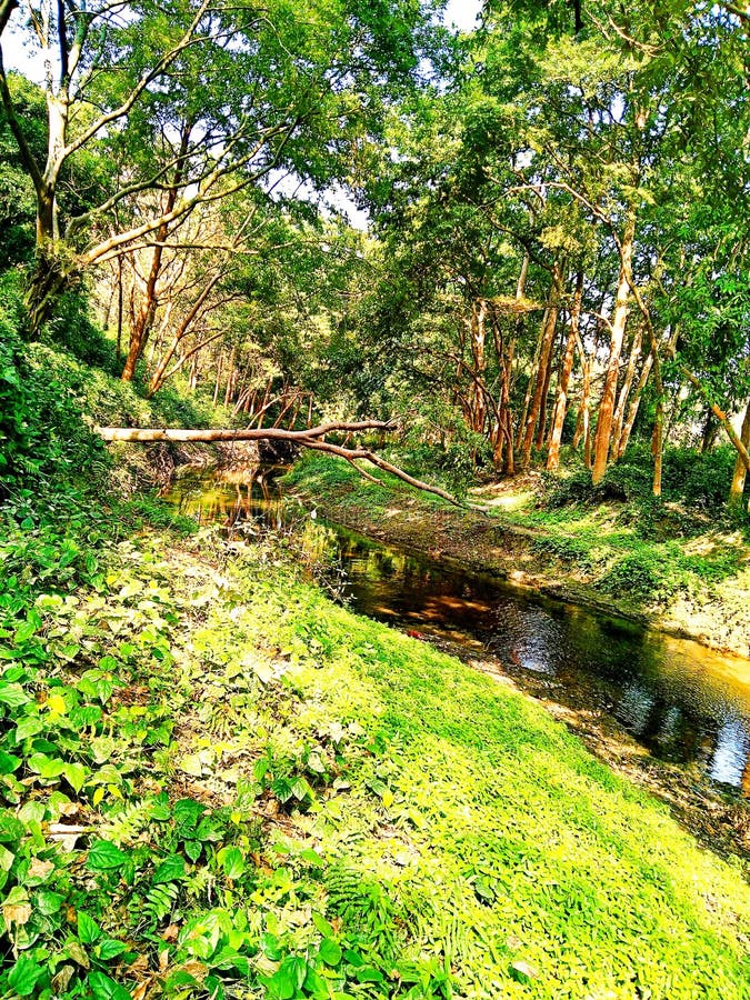 Indian Natural Images River Beautiful Place Stock Image - Image of ...