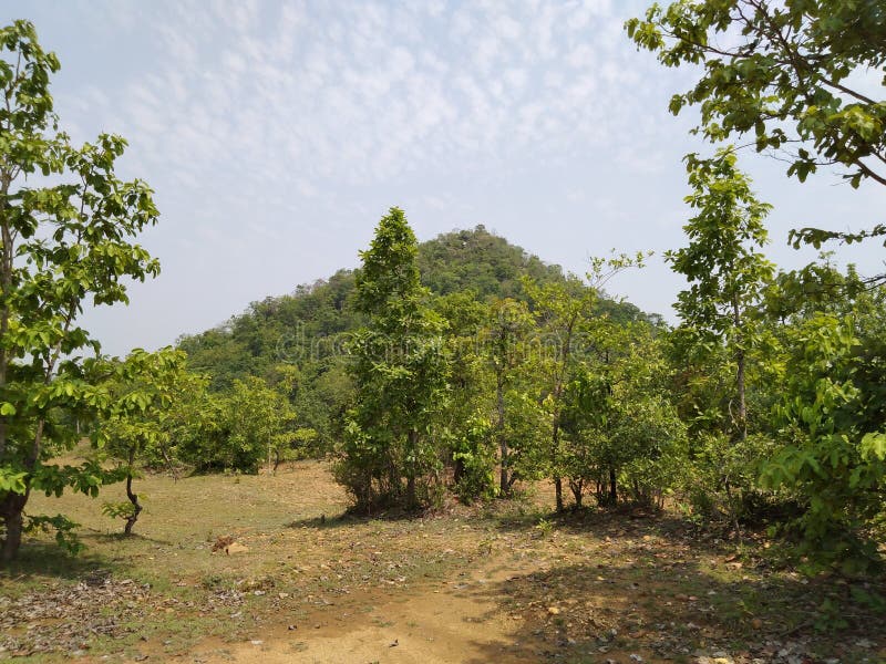 Indian Nature with a Beautiful Mountains Stock Image - Image of ...