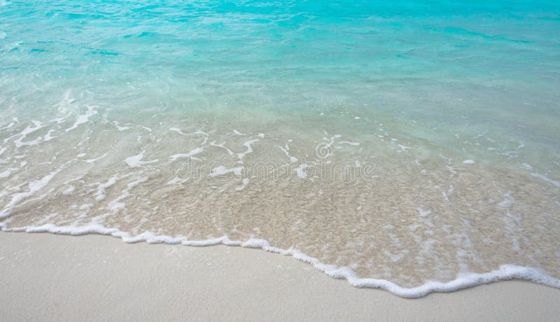 Indian Ocean beach stock photo. Image of tropical, preserver - 124151380