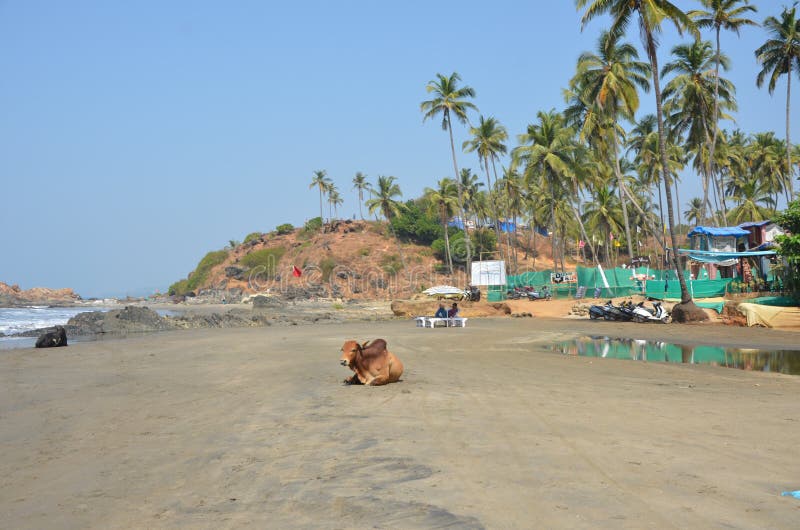 Indian ocean coast editorial stock photo. Image of landscape - 148979378