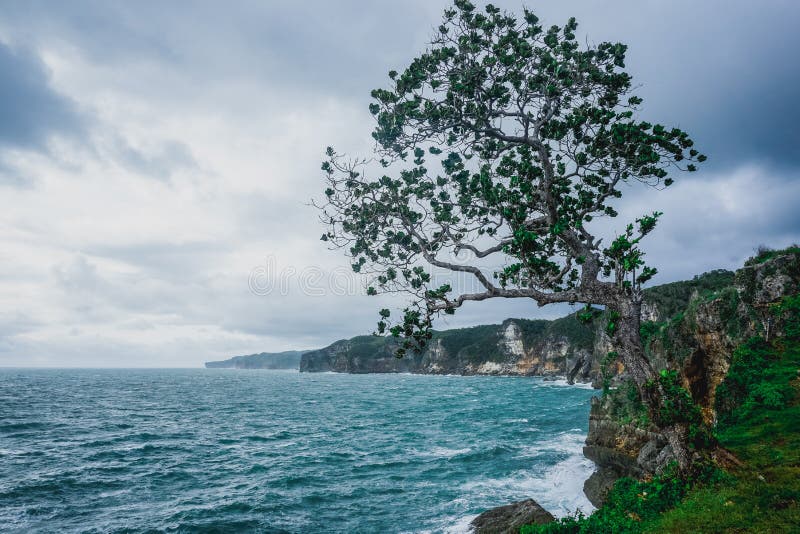 Indian Ocean Coast in the South of Java Island in Indonesia Stock Image ...