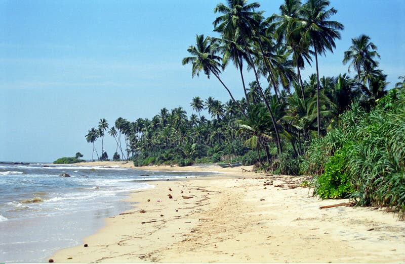 Indian Ocean, Gintota, Sri Lanka Stock Photo - Image of biodiversity ...