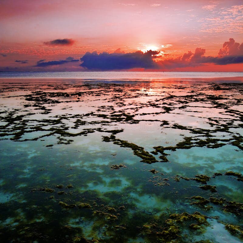 Indian Ocean at Dawn Off the Coast of Zanzibar Stock Image - Image of ...