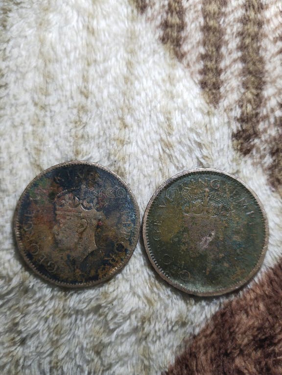 Indian Old Crunchy Old Quin Stock Photo - Image of quin, indian: 265600416