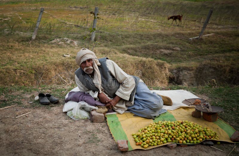Indian old men sell plum editorial image. Image of ethnic - 25616980