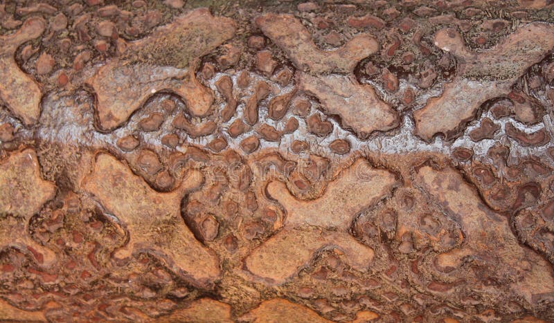 Indian Old Metal Work Texture Stock Image - Image of pattern, abstract ...