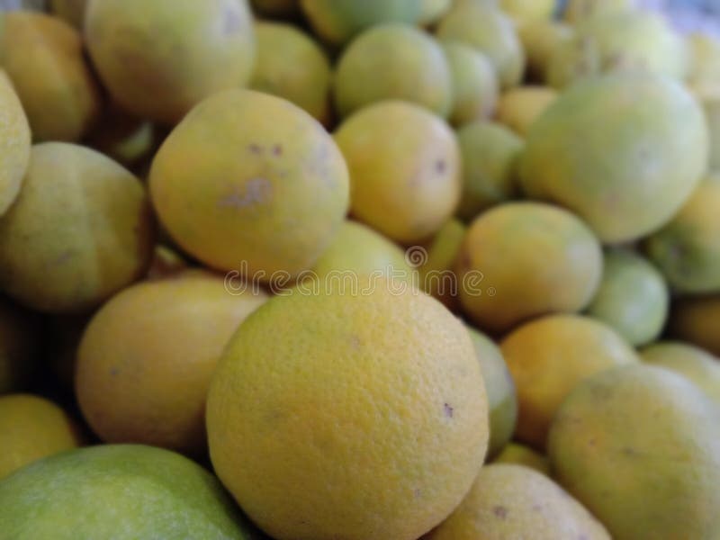 Indian Orange in Fruit Market Stock Photo - Image of fruit, fresh ...