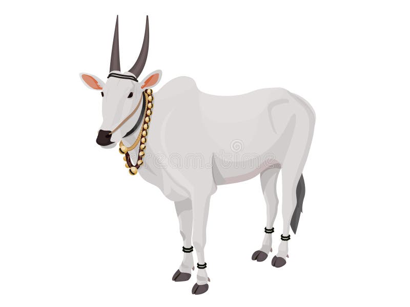 Indian ox, indian bull stock vector. Illustration of sketch - 345493844