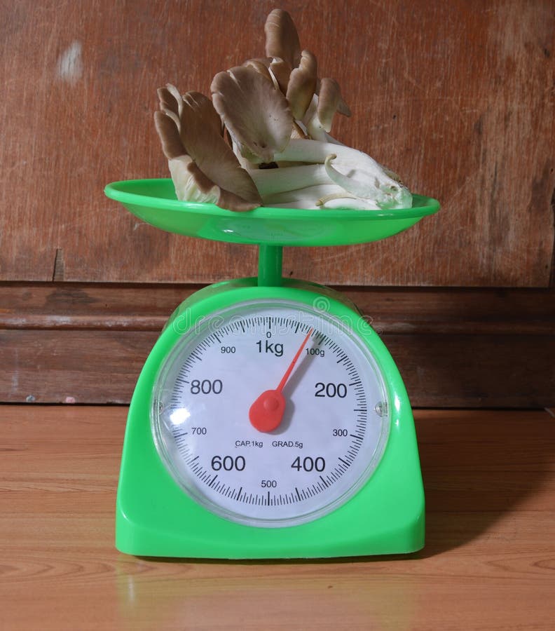 755 Scale Mushroom Stock Photos - Free & Royalty-Free Stock Photos from ...