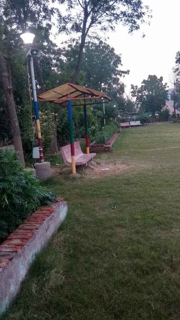 Indian Park Inside View and Beautiful Small Tree Stock Photo - Image of ...