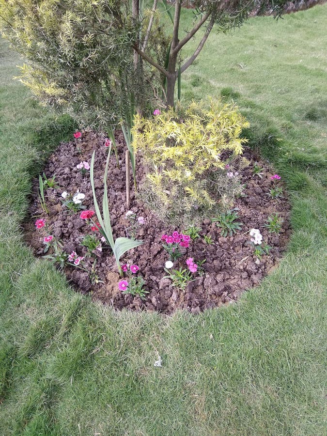 125,218 Indian Park Stock Photos - Free & Royalty-Free Stock Photos ...