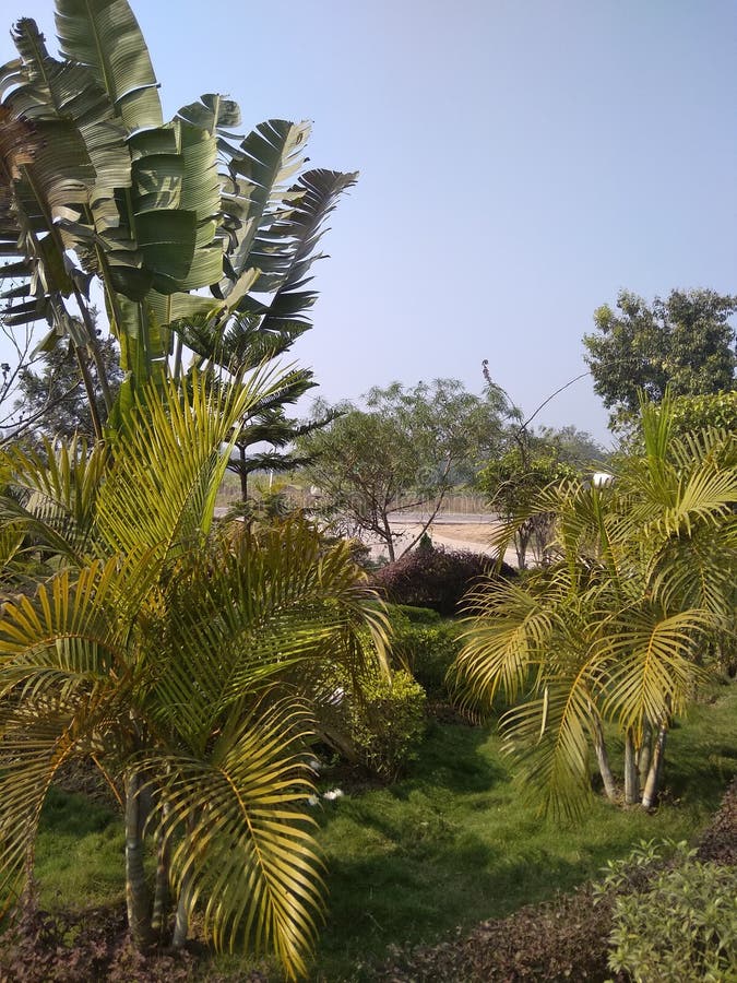 Indian Park Seen is Very Nice and Very Good Stock Image - Image of ...