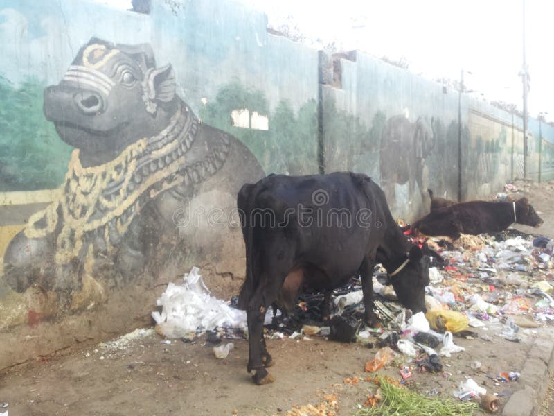 Indian pavement editorial stock photo. Image of wall - 48254893