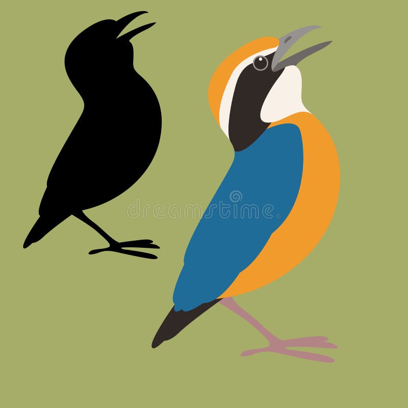Indian Pitta Bird Vector Illustration Flat Style Black Silhouette Stock ...
