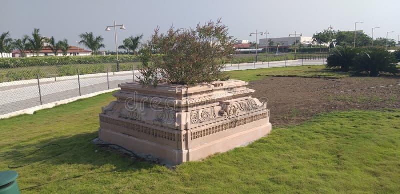 Indian plant tulsi stock image. Image of beautiful, tulsi - 175679899