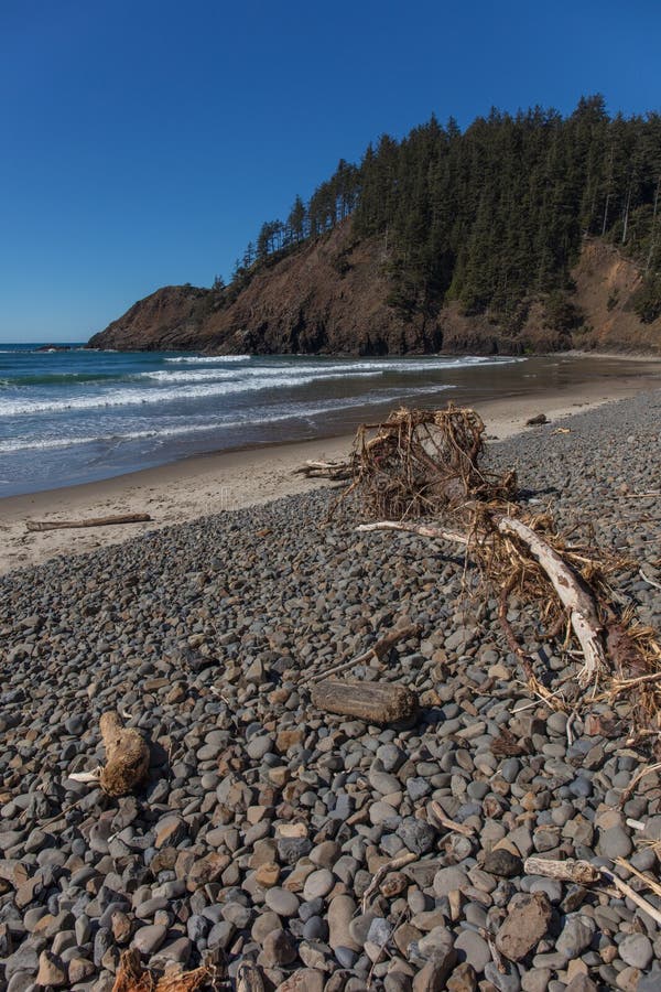 Coast of Oregon stock image. Image of lifestyle, lonely - 186419481