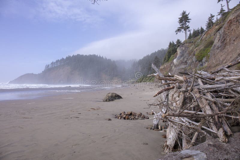Indian point coast stock image. Image of creature, group - 198361213