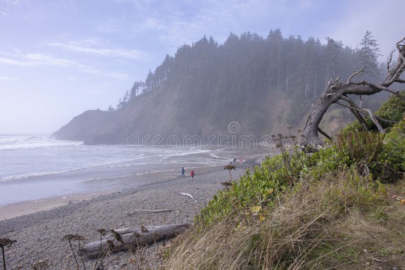 Indian point coast stock image. Image of dirt, ocean - 198361141
