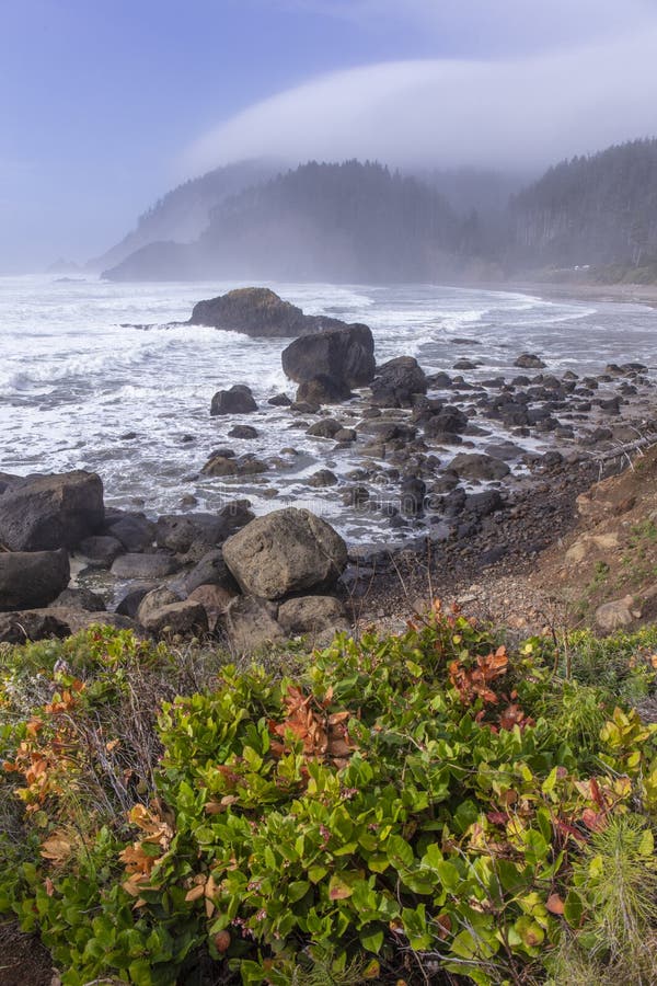 Indian point coast stock image. Image of camping, ground - 198362007