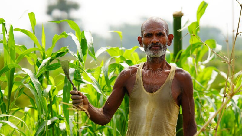 Indian Poor Farmer Standing in Agricultural Field Editorial Stock Image ...