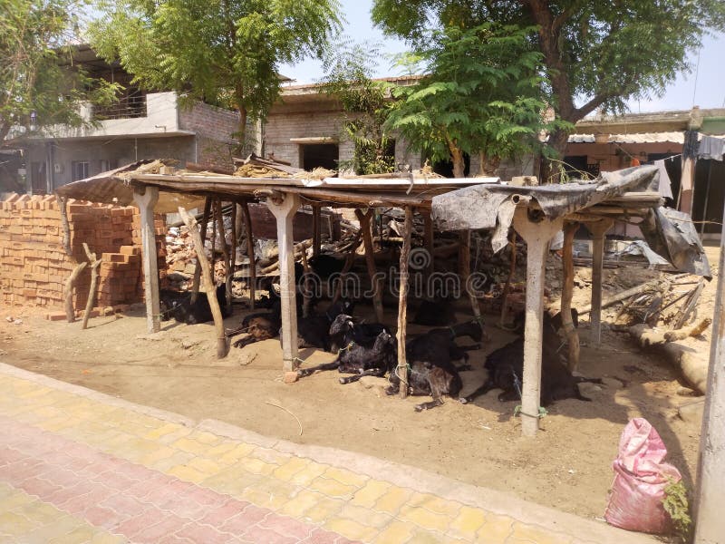 Poor Village Wallpaper Full Screen Stock Photo - Image of jhopadi ...