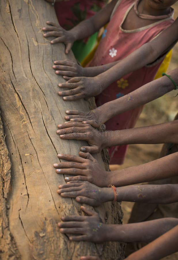 Group of Hand stock image. Image of cupped, closeup - 153107465