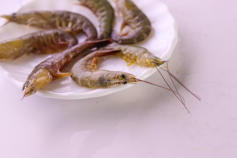 Indian Prawns Fish Caught from Ganga River Stock Photo - Image of river ...