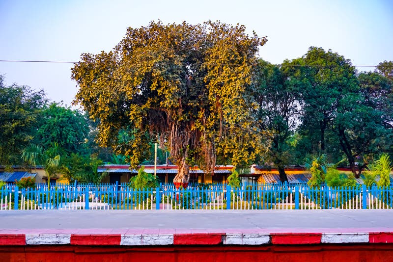 Indian Railway platform stock image. Image of park, plant - 235780041