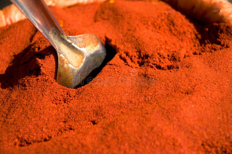 Indian Red Cooking Spice stock photo. Image of menu, savory - 15729958