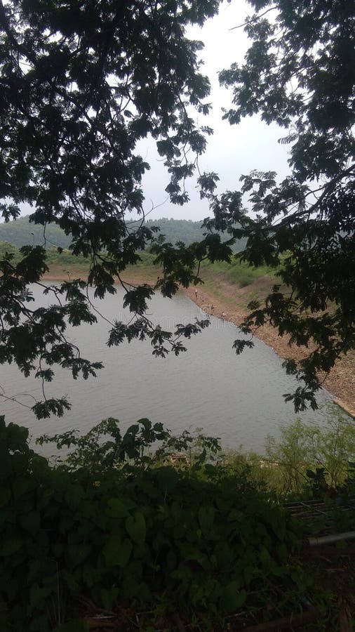 Indian River Beautiful View Tree Live Stock Image - Image of wildlife ...