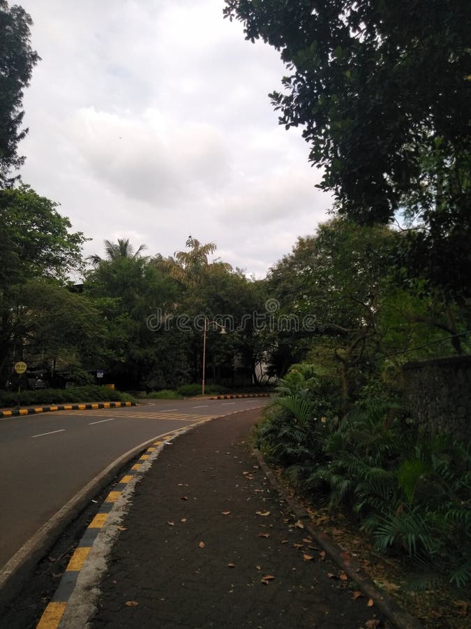 A indian road in city stock photo. Image of road, looking - 166844330