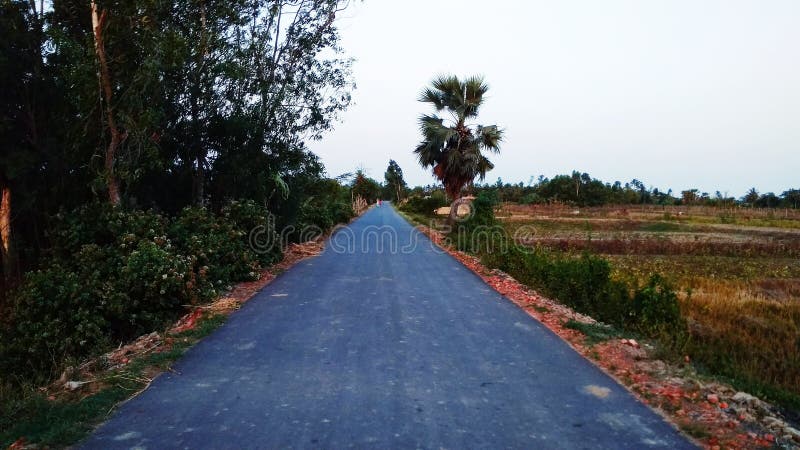 Indian road stock photo. Image of flower, road, good - 218865142