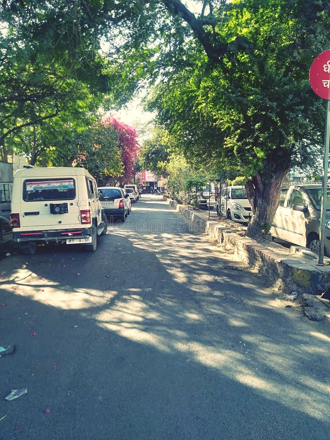 Indian Road Tree Shadow stock image. Image of indian - 212434313