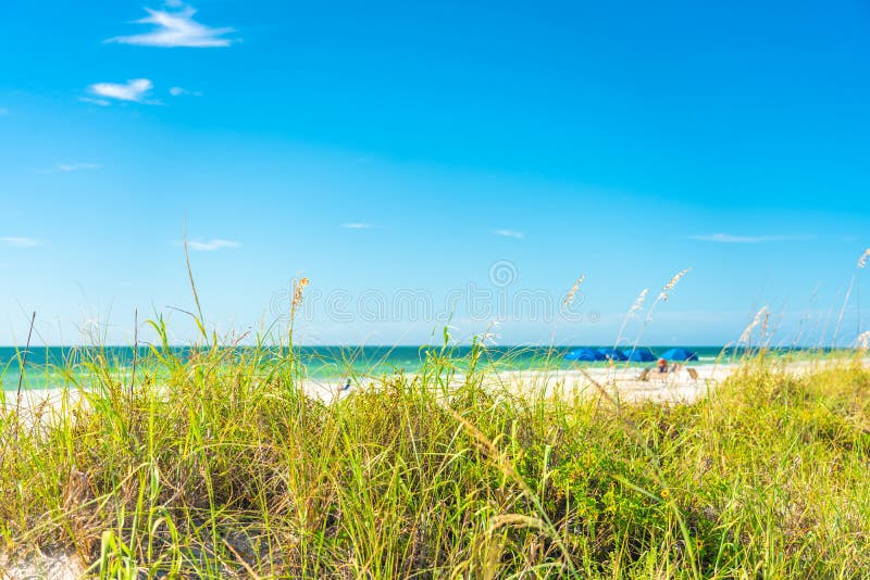 Indian Rocks Beach with Green Grass in Florida, USA Stock Photo - Image ...