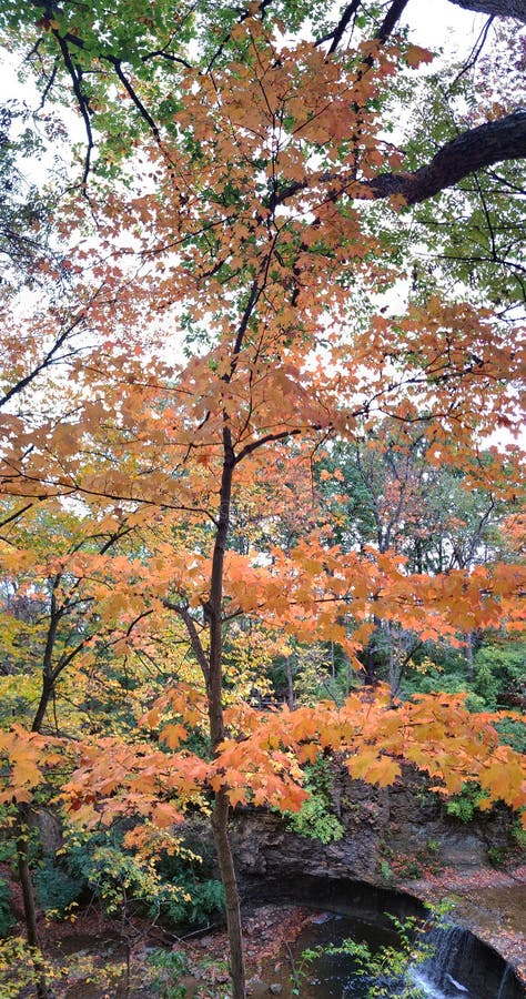 Indian Run Park in Autumn, Dublin, Ohio Stock Image - Image of dublin ...