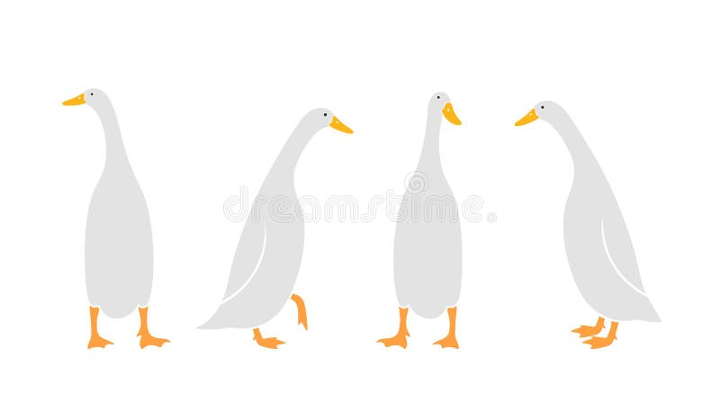 Indian Runner Ducks Logo. Isolated Indian Runner Ducks on White ...