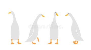 Runner Ducks Stock Illustrations – 16 Runner Ducks Stock Illustrations ...