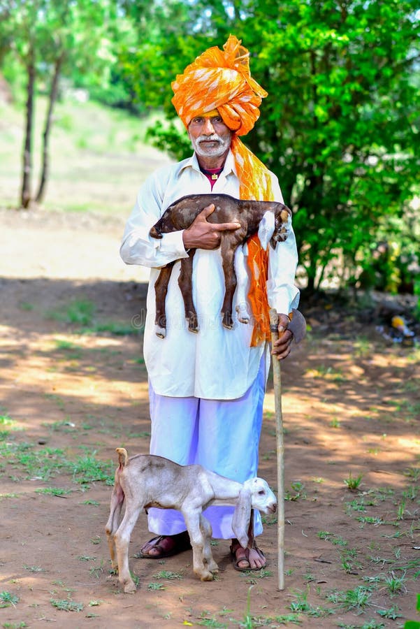 Indian Rural Man Holding Baby Sheep in His Hands Traditional Dress ... Indian Rural Man Holding Baby Sheep in His Hands Traditional Dress ...
