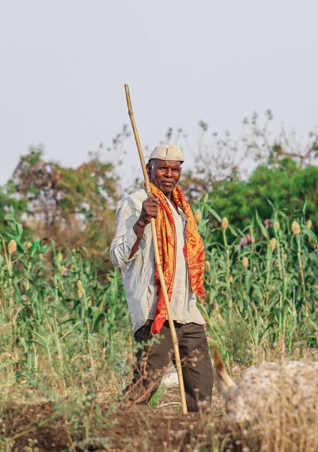 Indian Rural Men Herding Flock of Sheep Editorial Photo - Image of tree ...